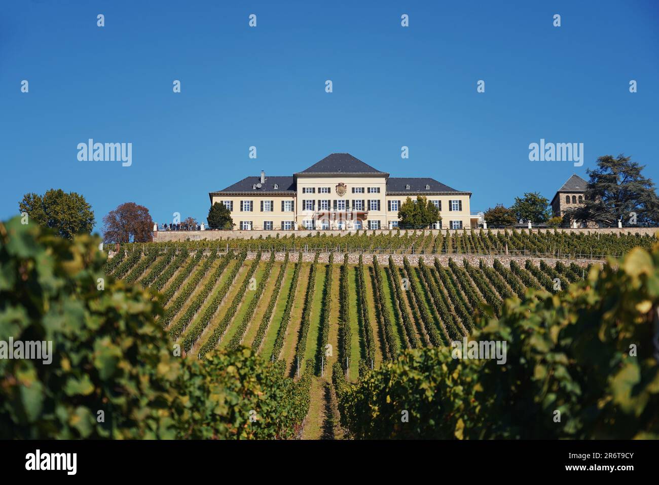 The Schloss Johannisberg Castle in Geisenheim, Germany surrounded by ...