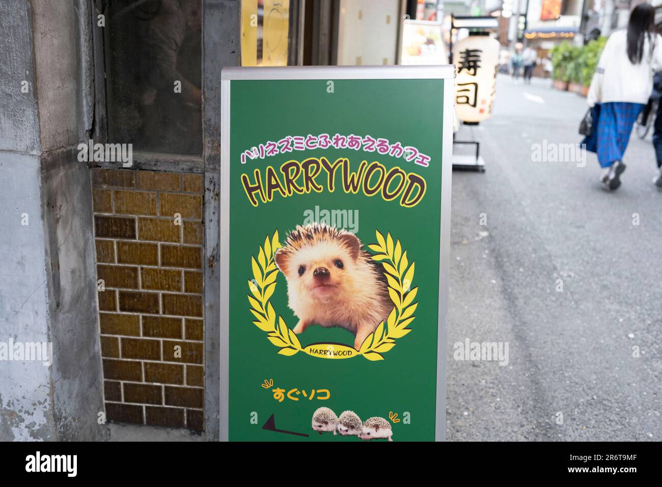 Animal cafe osaka hi-res stock photography and images - Alamy