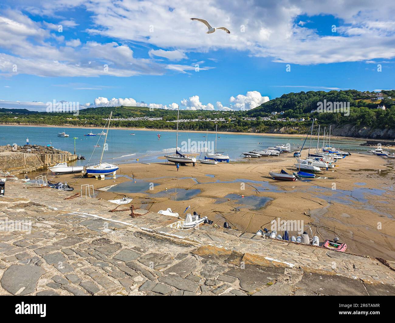 boats ashore along the sandy beach at New Quay, Ceredigion, West Wales ...