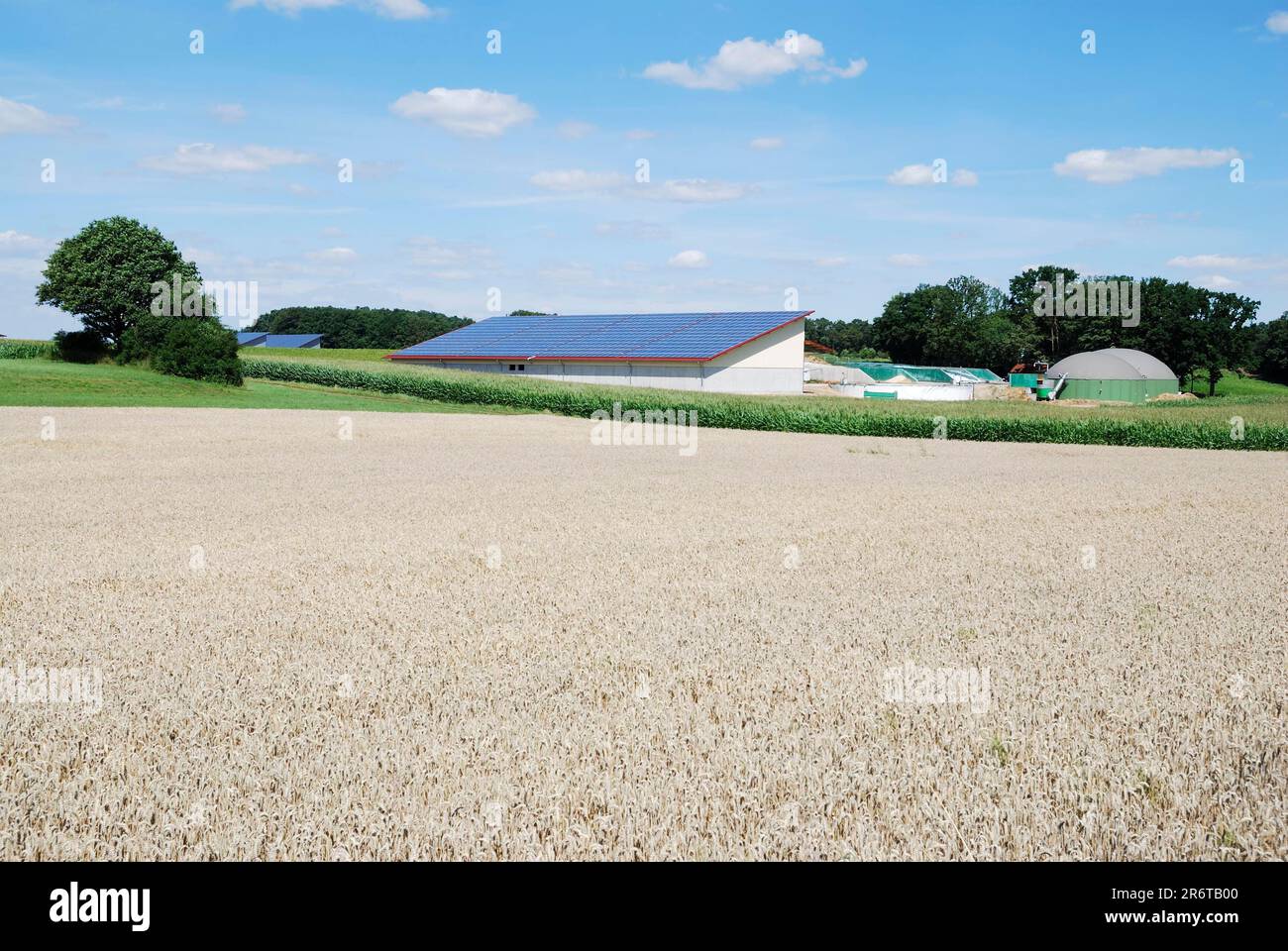 Biogas production and solar energy Stock Photo - Alamy