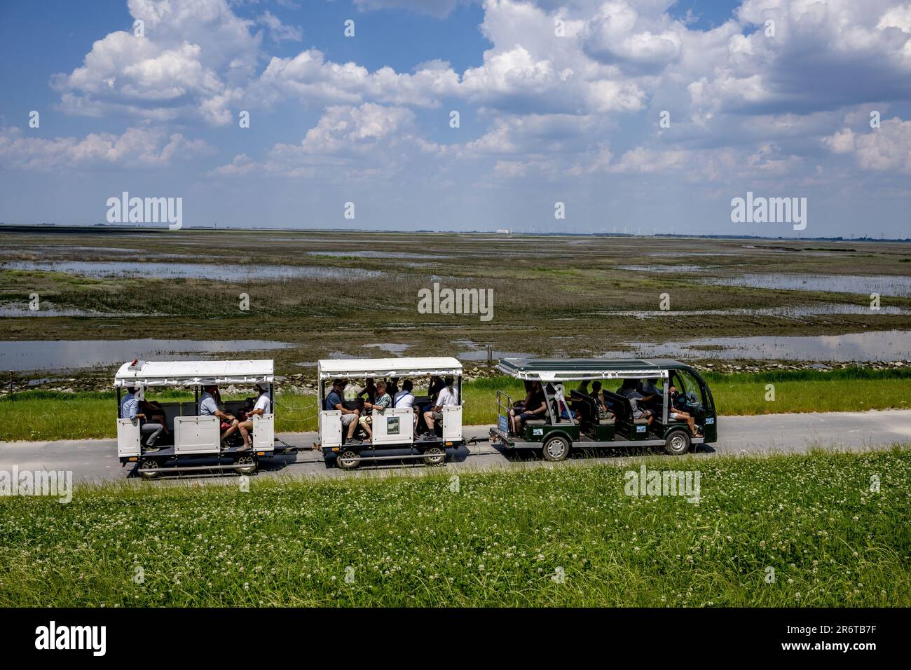 NEW-NAMES - Visitors to the open day of the Hedwige-Prosperpolder (the ...