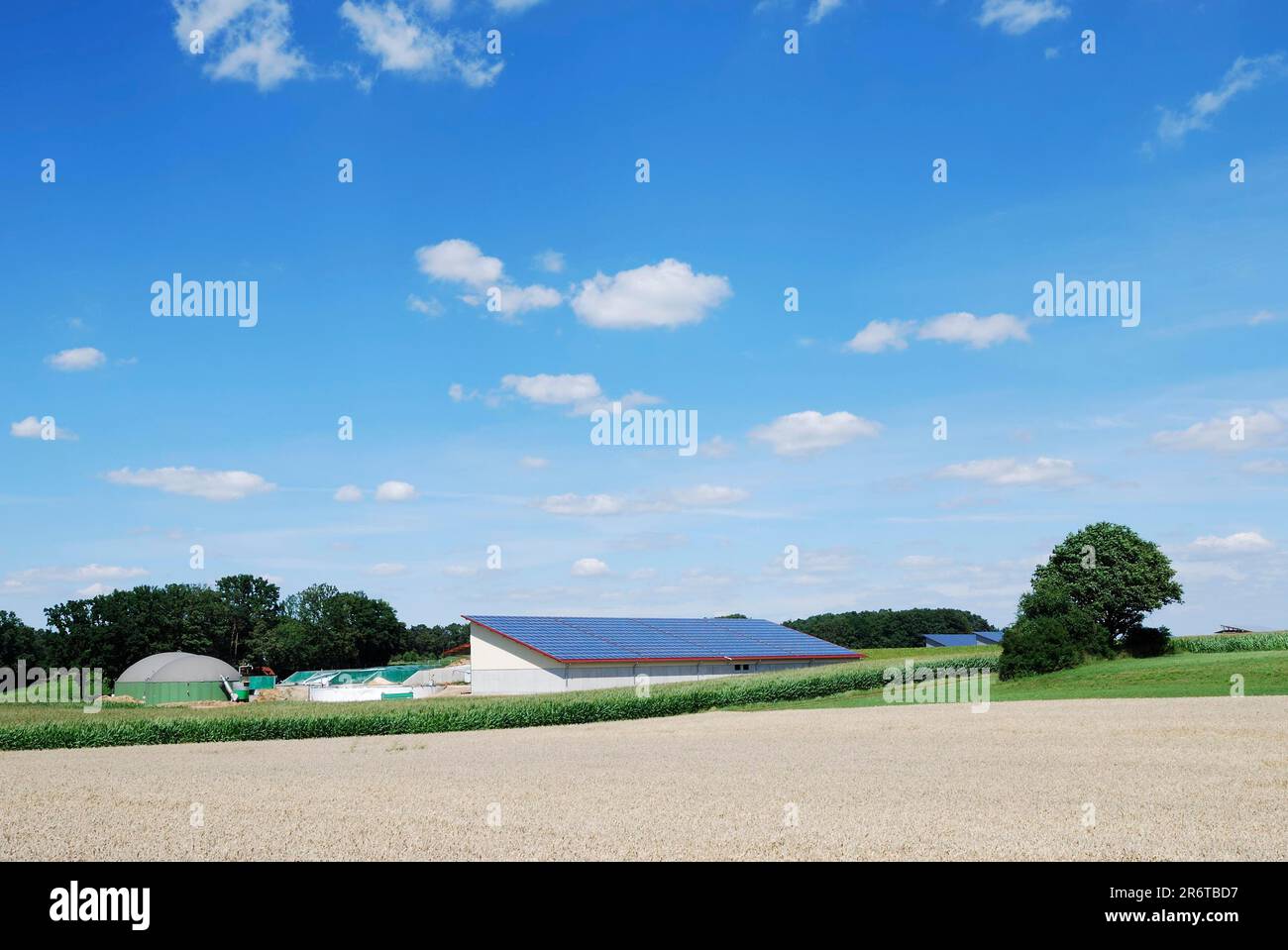 Biogas production and solar energy Stock Photo - Alamy