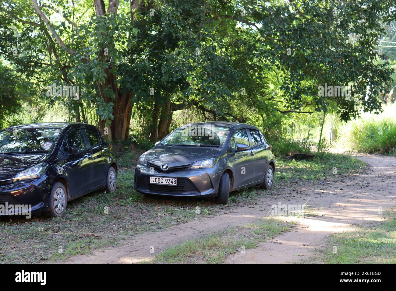 Cars in forest hi-res stock photography and images - Alamy