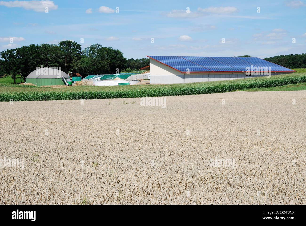 Corn silage biogas production hi-res stock photography and images - Alamy