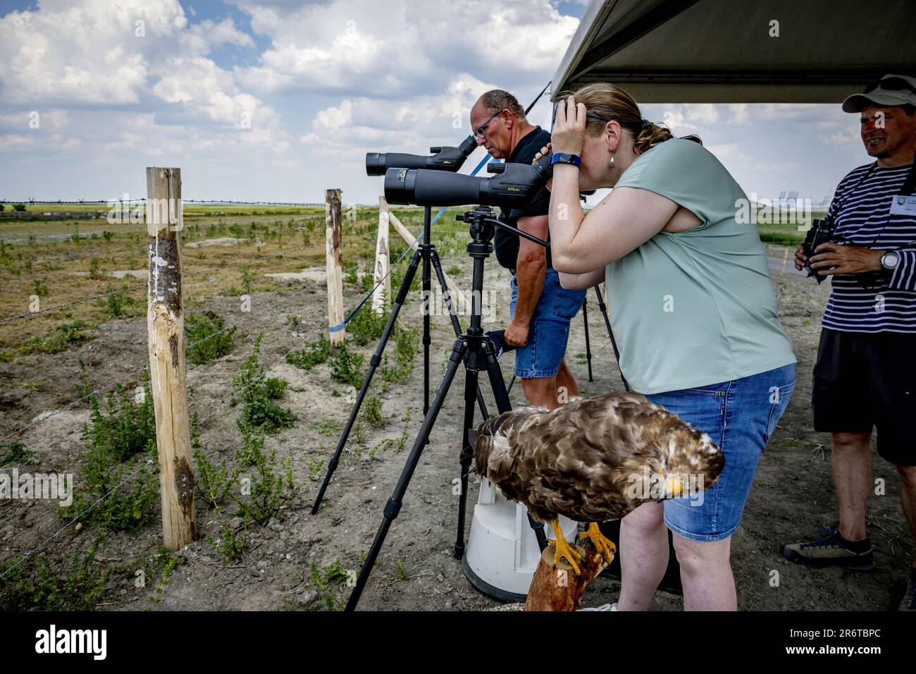 Hedwigpolder hi-res stock photography and images - Alamy