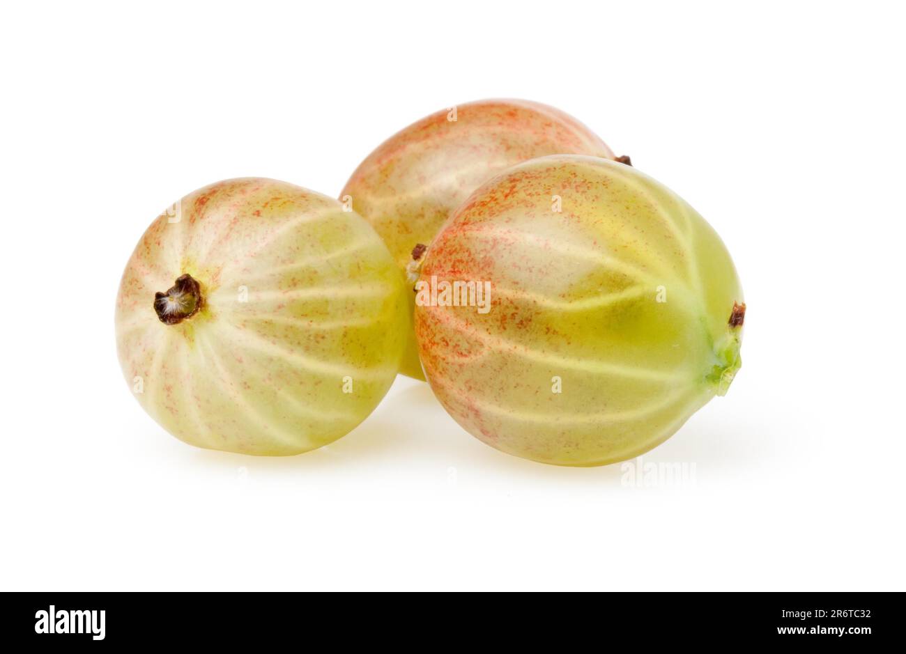 gooseberry, on a white background Stock Photo - Alamy