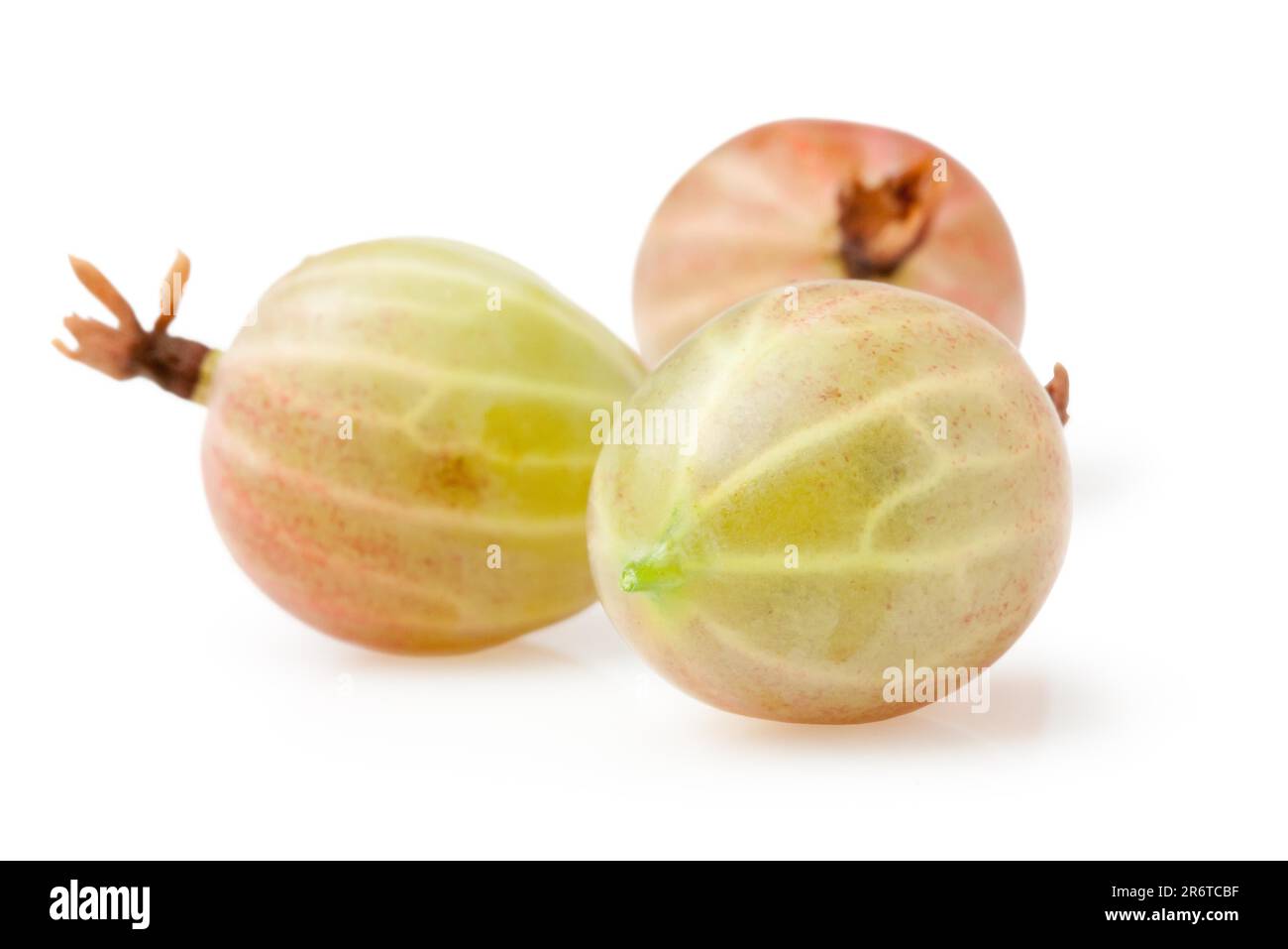 gooseberry, on a white background Stock Photo - Alamy