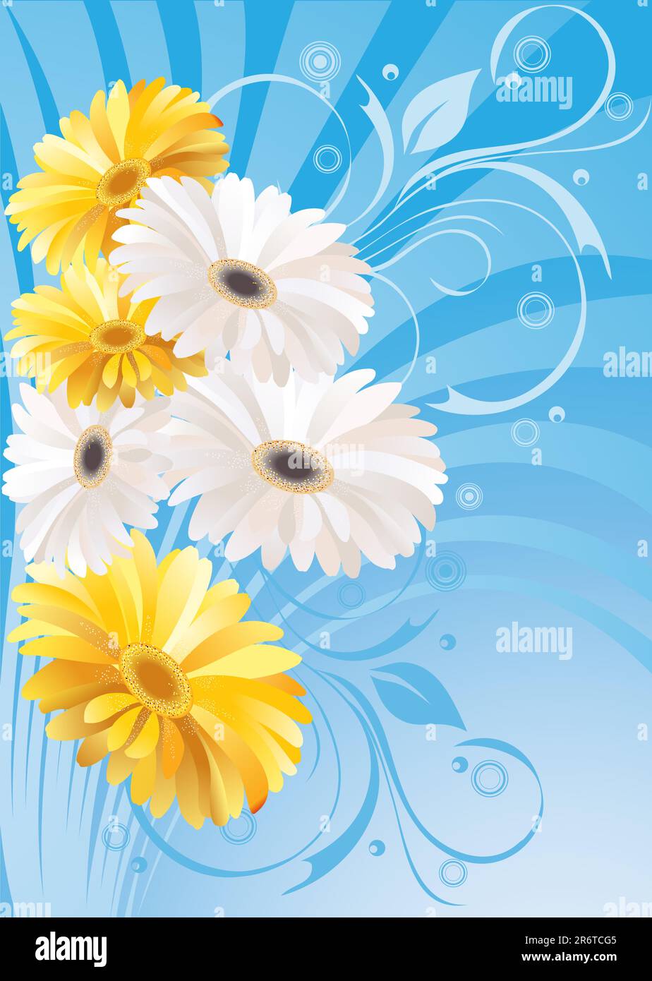 Gerbera daisy white background Stock Vector Images - Alamy