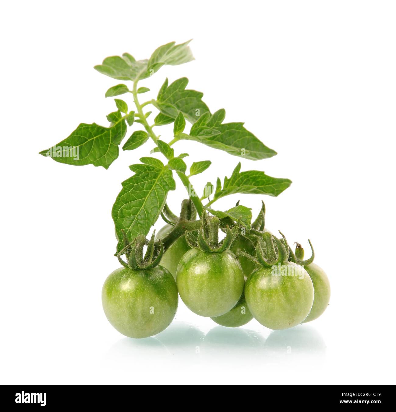 Heap of ripe tomatoes vegetable with green leafs isolated on white ...