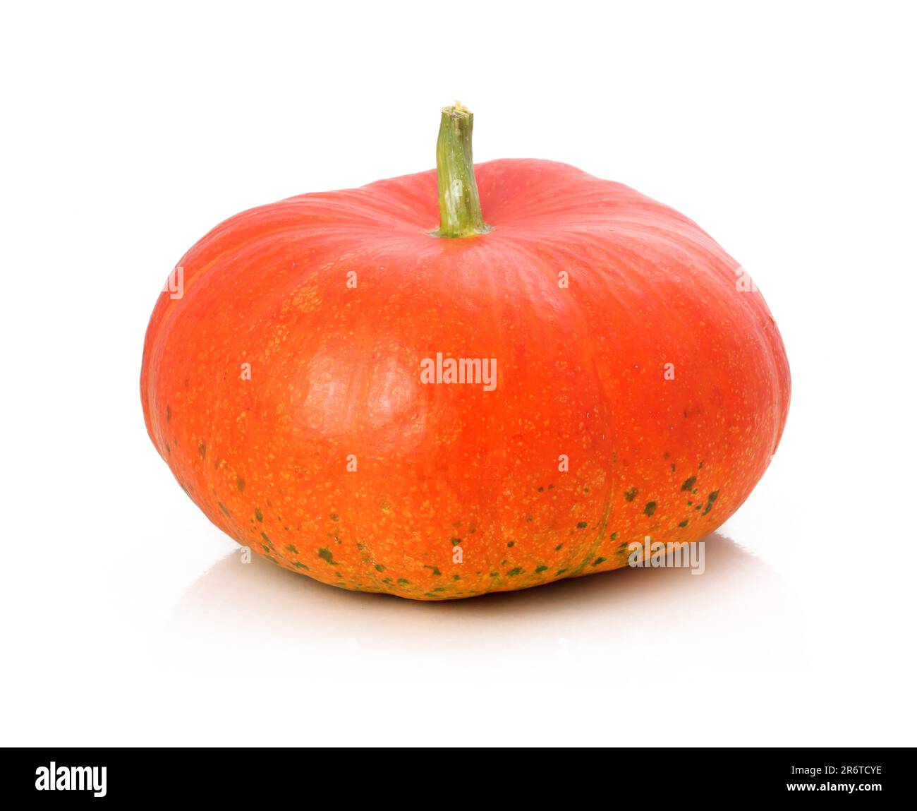 Ripe pumpkin vegetable isolated on white background Stock Photo - Alamy