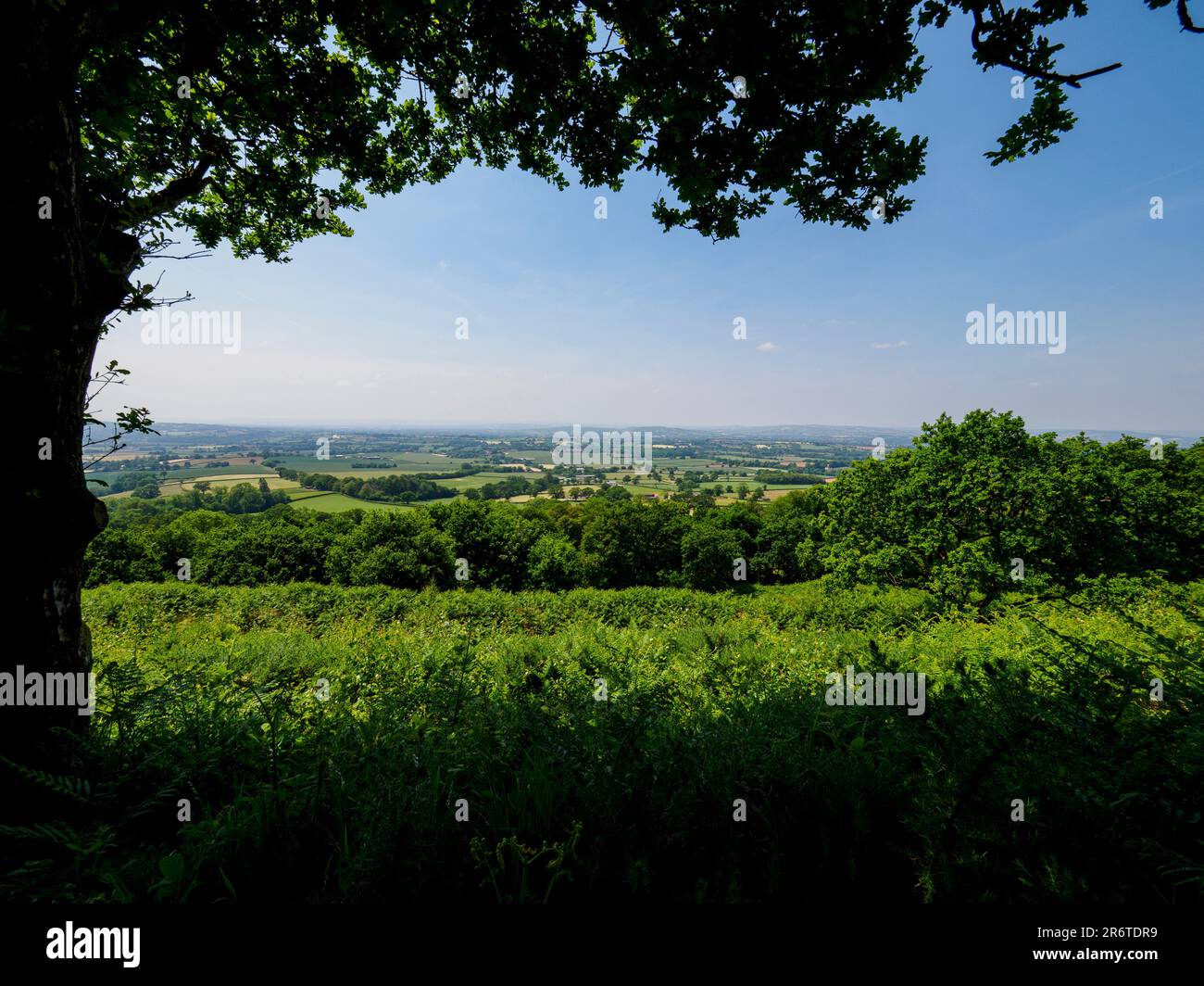 View over the Otter Valley from Hembury Hillfort, Payhembury, Devon, UK ...
