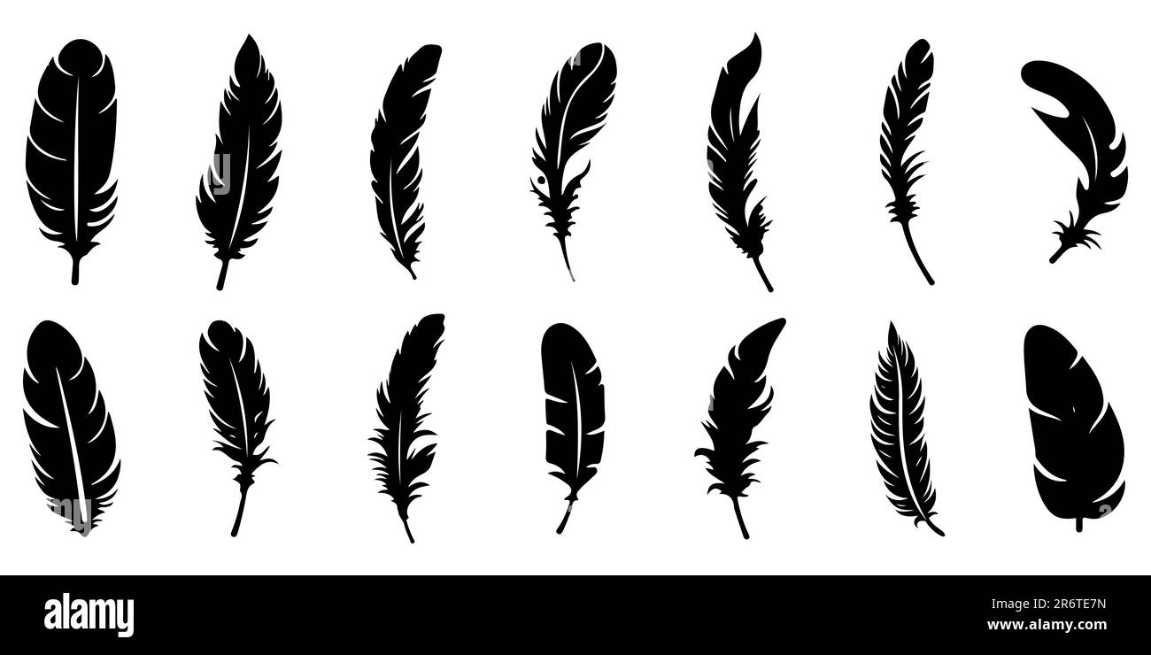 Feather icons. Set of black feather icons isolated on white background ...