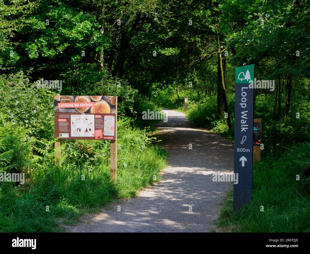 Entrance to Staple hill the highest point on the Blackdown Hills ...