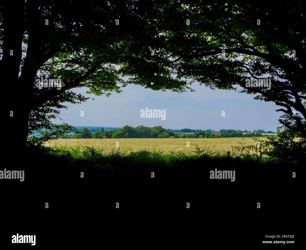 View over the countryside from inside the woodland on Staple hill the ...