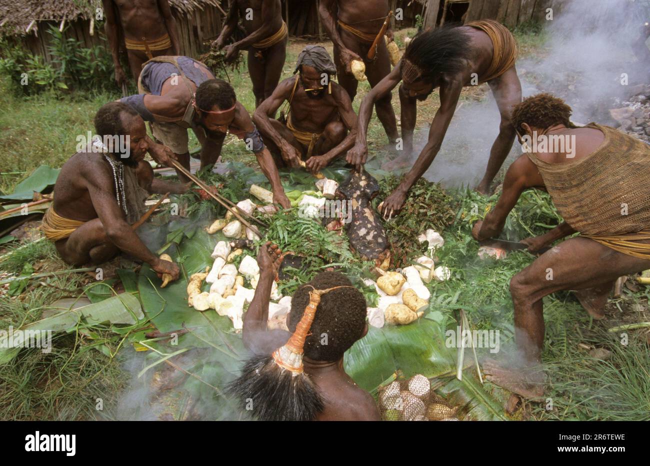 Yali men cooking traditional dish of pork with vegetables, Yali tribe ...