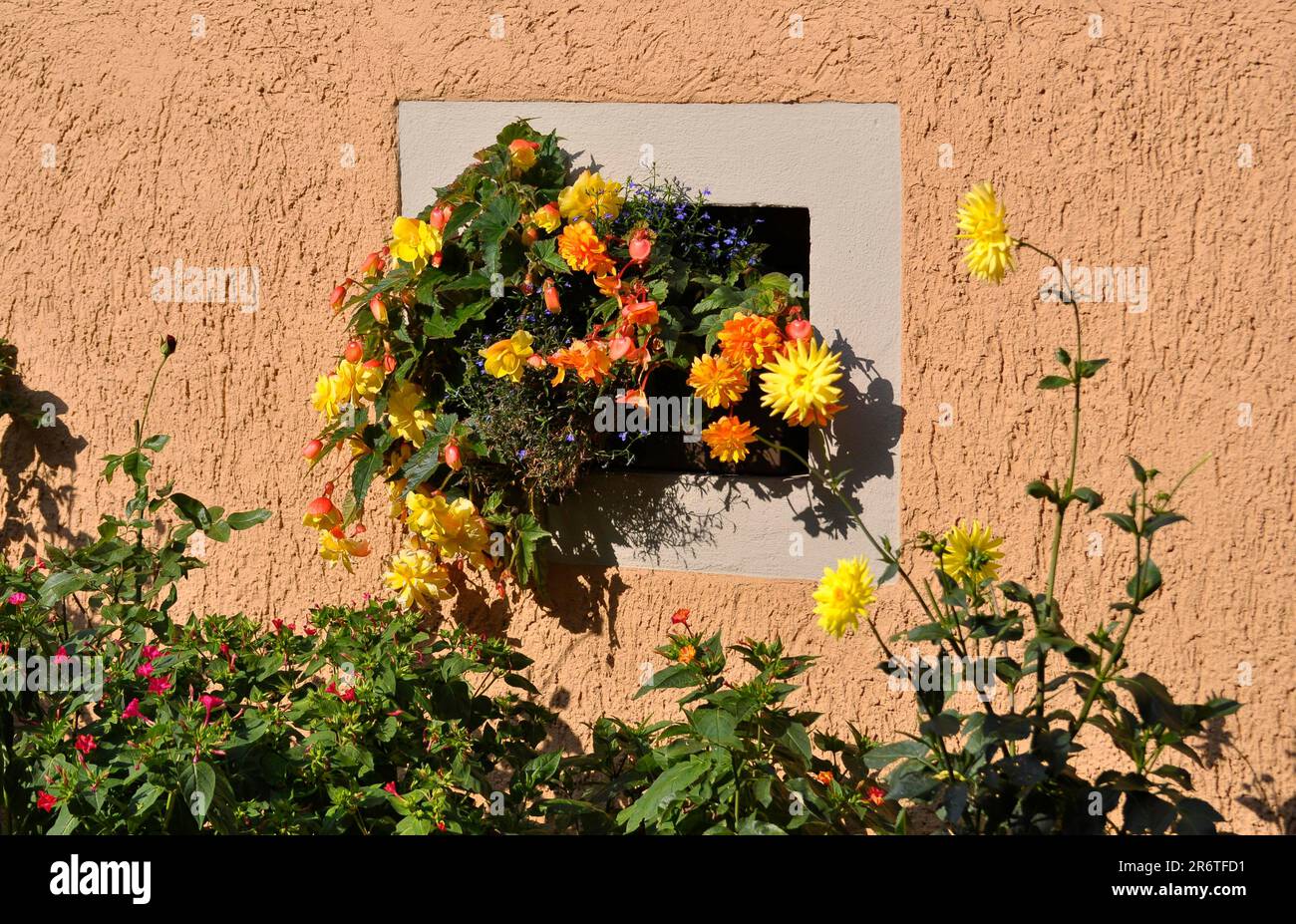 Flowers various at the window outside Stock Photo - Alamy