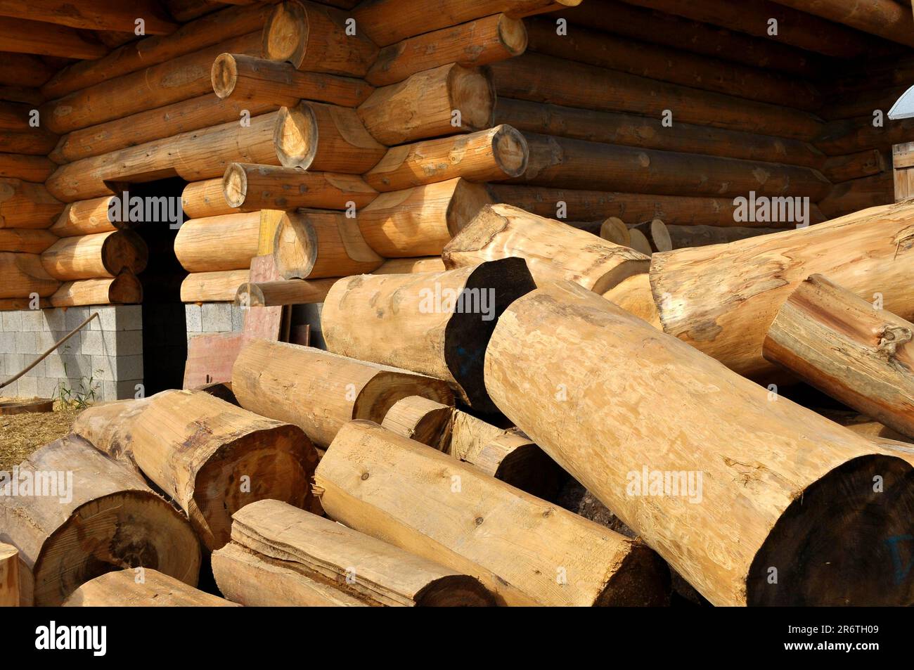 Factory building made of wooden beams under construction, wood from ...