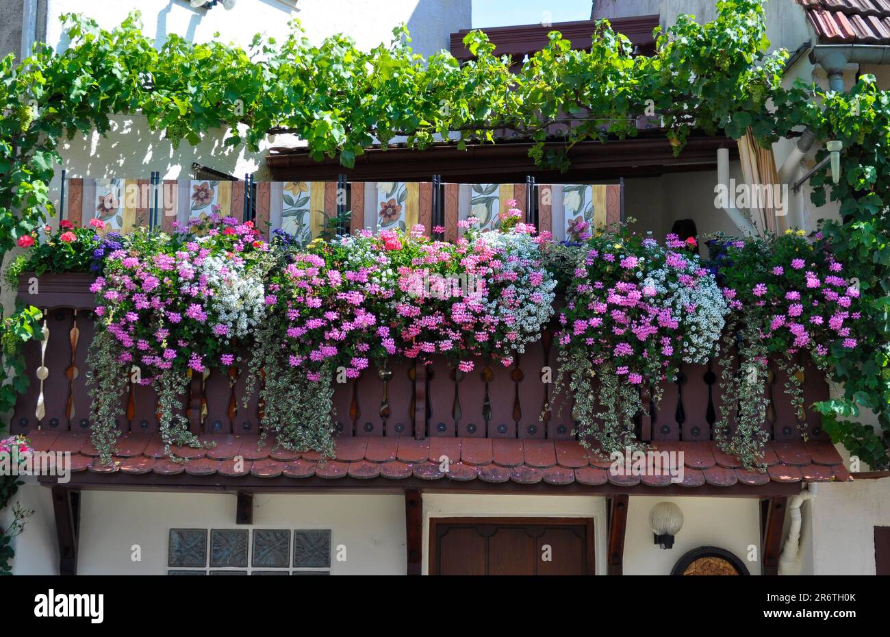 Vine terrace hi-res stock photography and images - Alamy