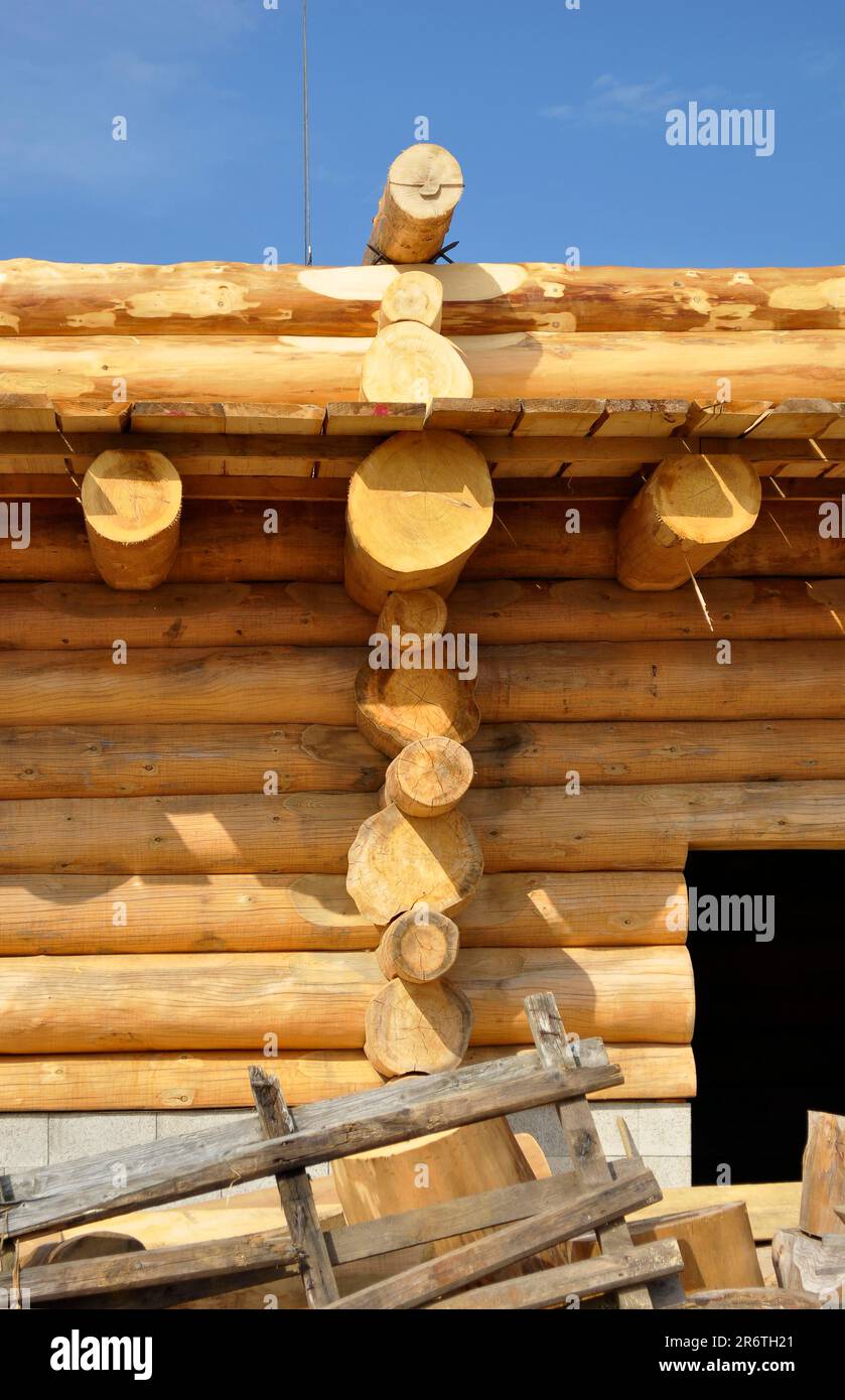 Factory building made of wooden beams under construction, wood from ...