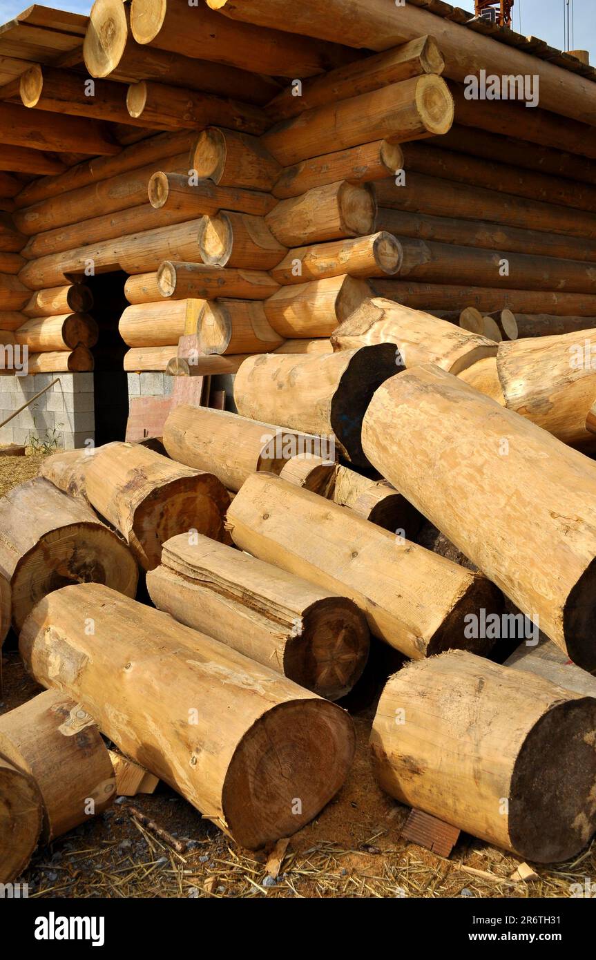 Factory building made of wooden beams under construction, wood from ...