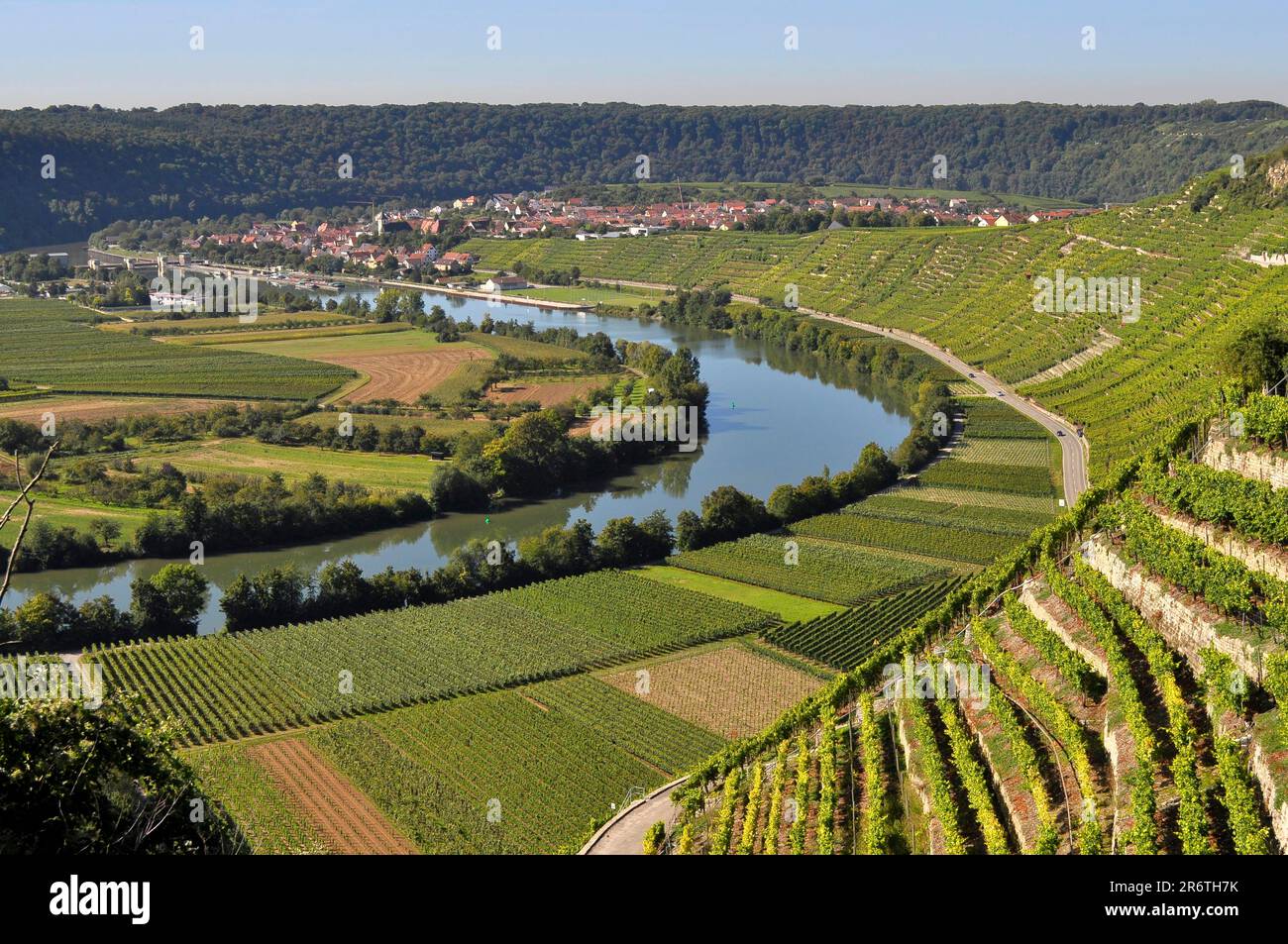 Neckar loop near Mundelsheim, wine village Hessigheim, vineyards ...