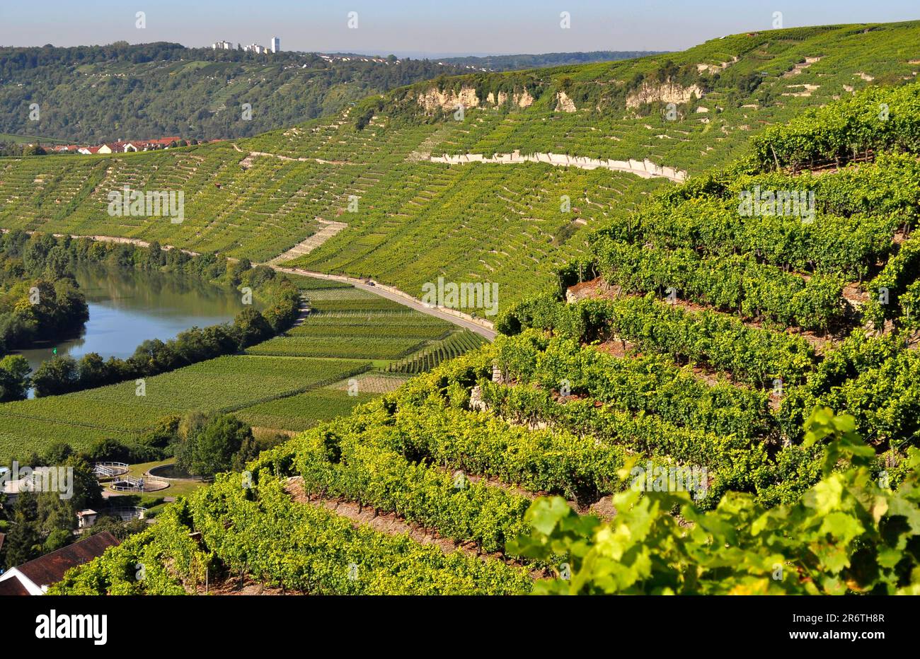 Neckar loop near Mundelsheim, vineyards, fields, meadows, river ...