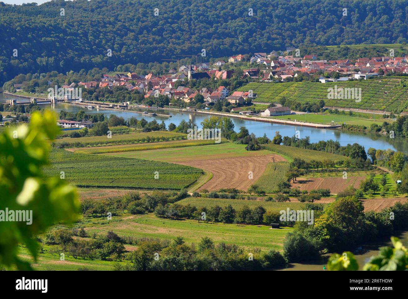 Besigheim wine village hi-res stock photography and images - Alamy