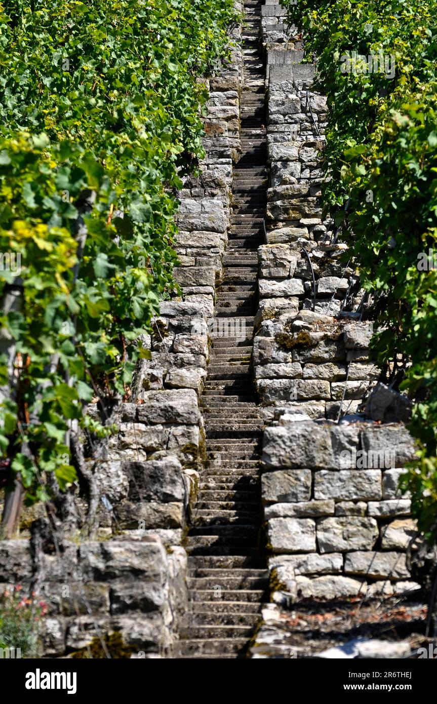 Rocks and vineyard hi-res stock photography and images - Alamy