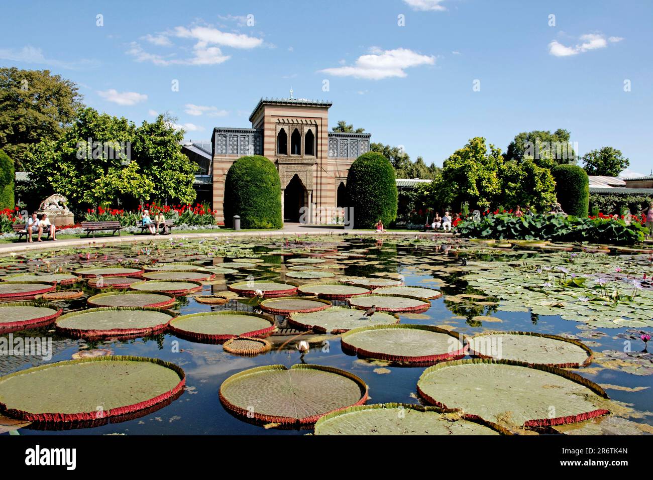 Water lily pond, former bathhouse, zoological-botanical garden Wilhelma ...