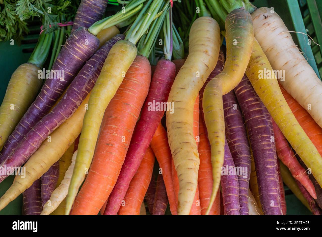 Colorful carrots for sale on a market in Germany Stock Photo - Alamy