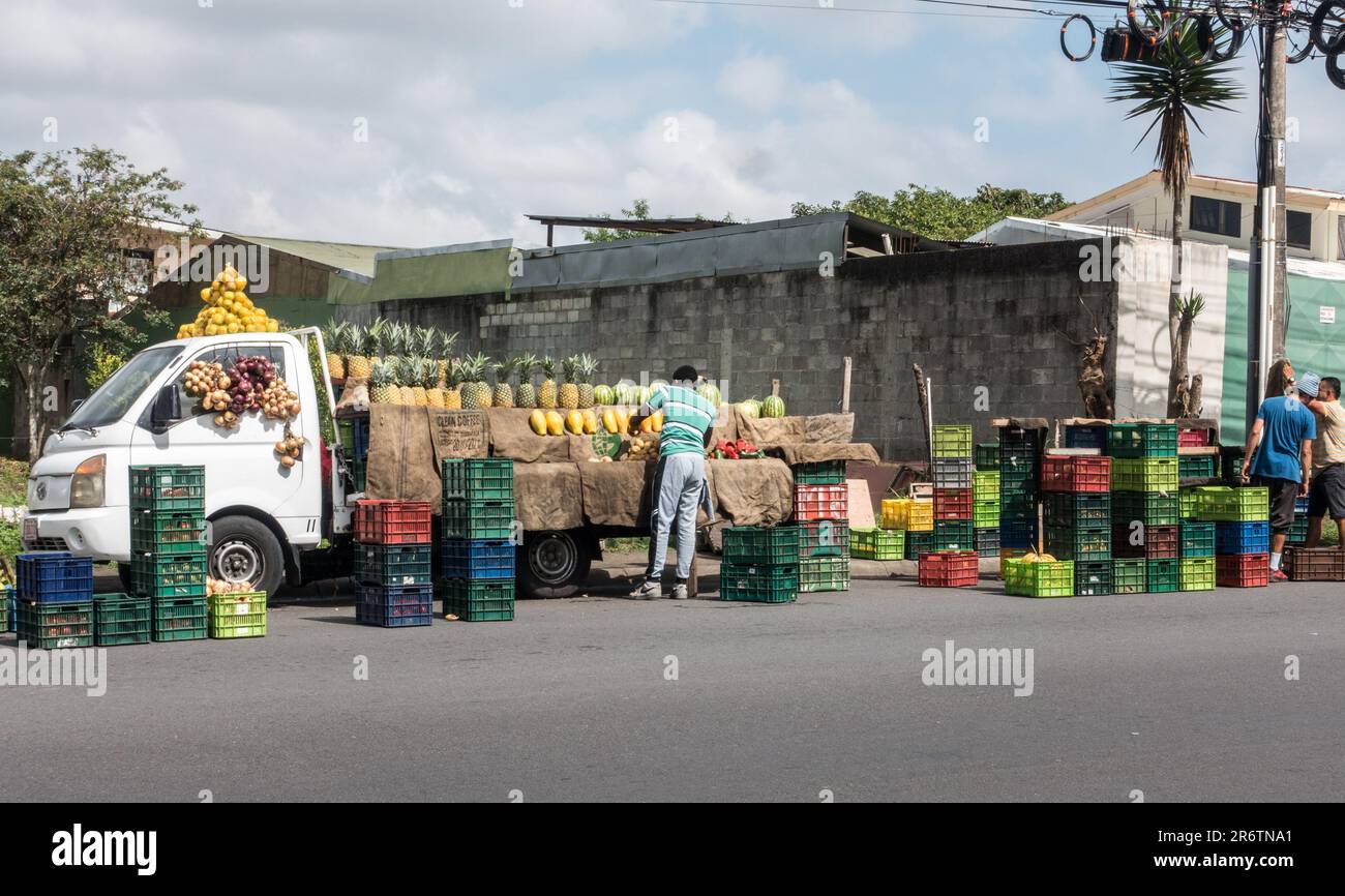 Unloading fruit and vegetables from plastic crates to put on sale in ...