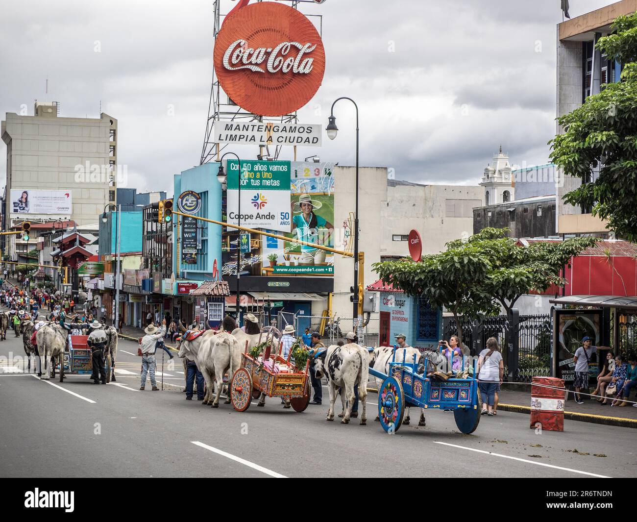 Traditional ox cart parade in San José, Costa Rica Stock Photo - Alamy