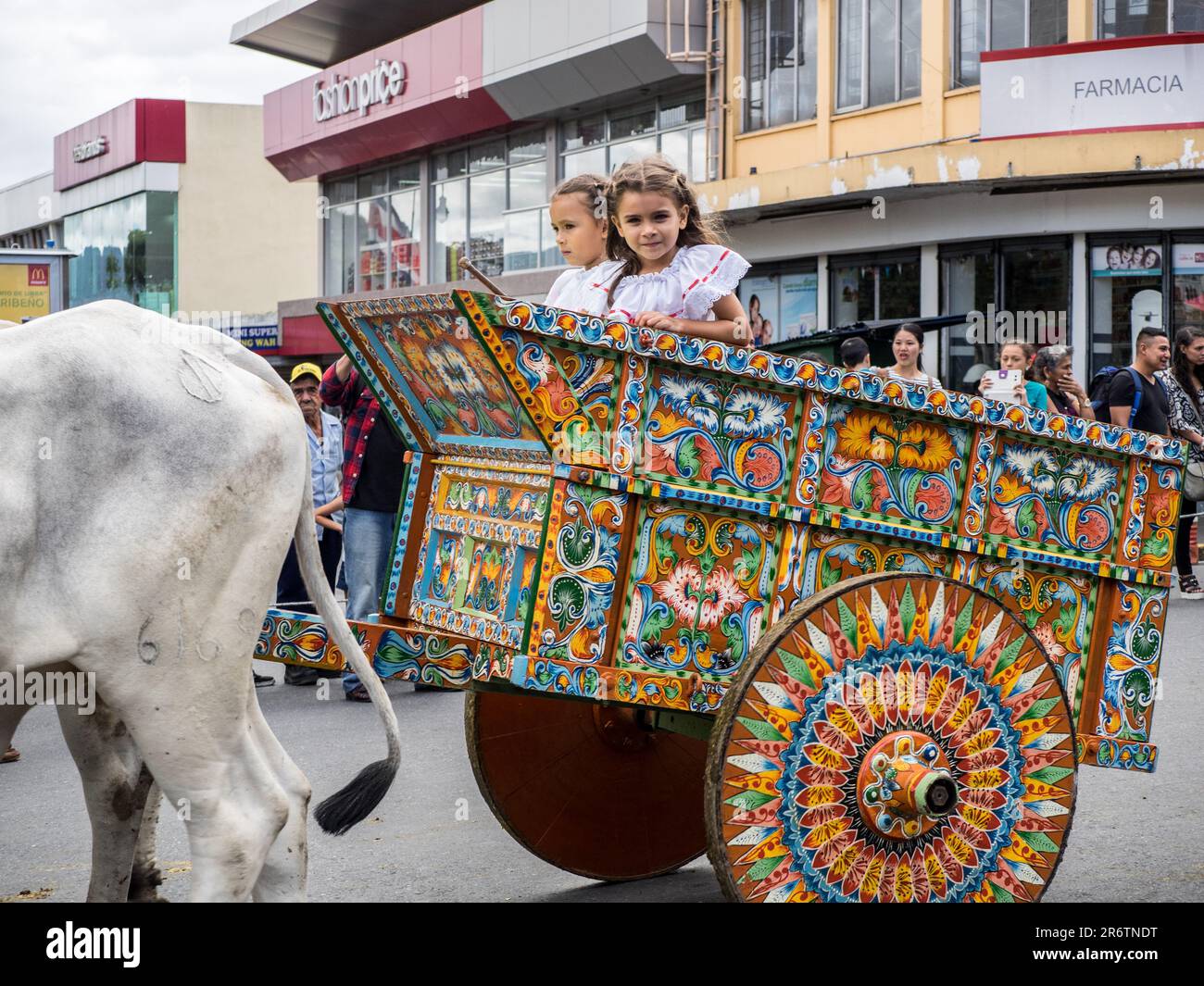 Two young girls riding in a traditional ox cart in the annual ox cart ...