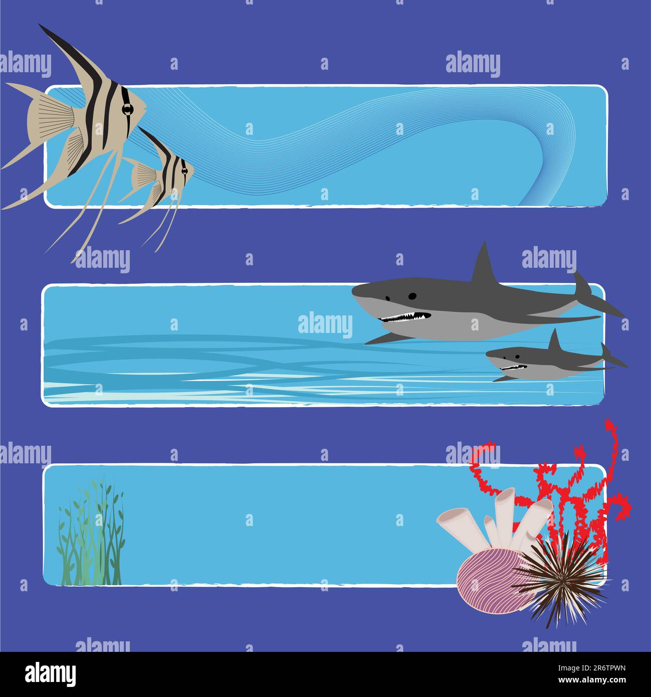 three tropical fish banners no text indicate sea world creatures Stock ...