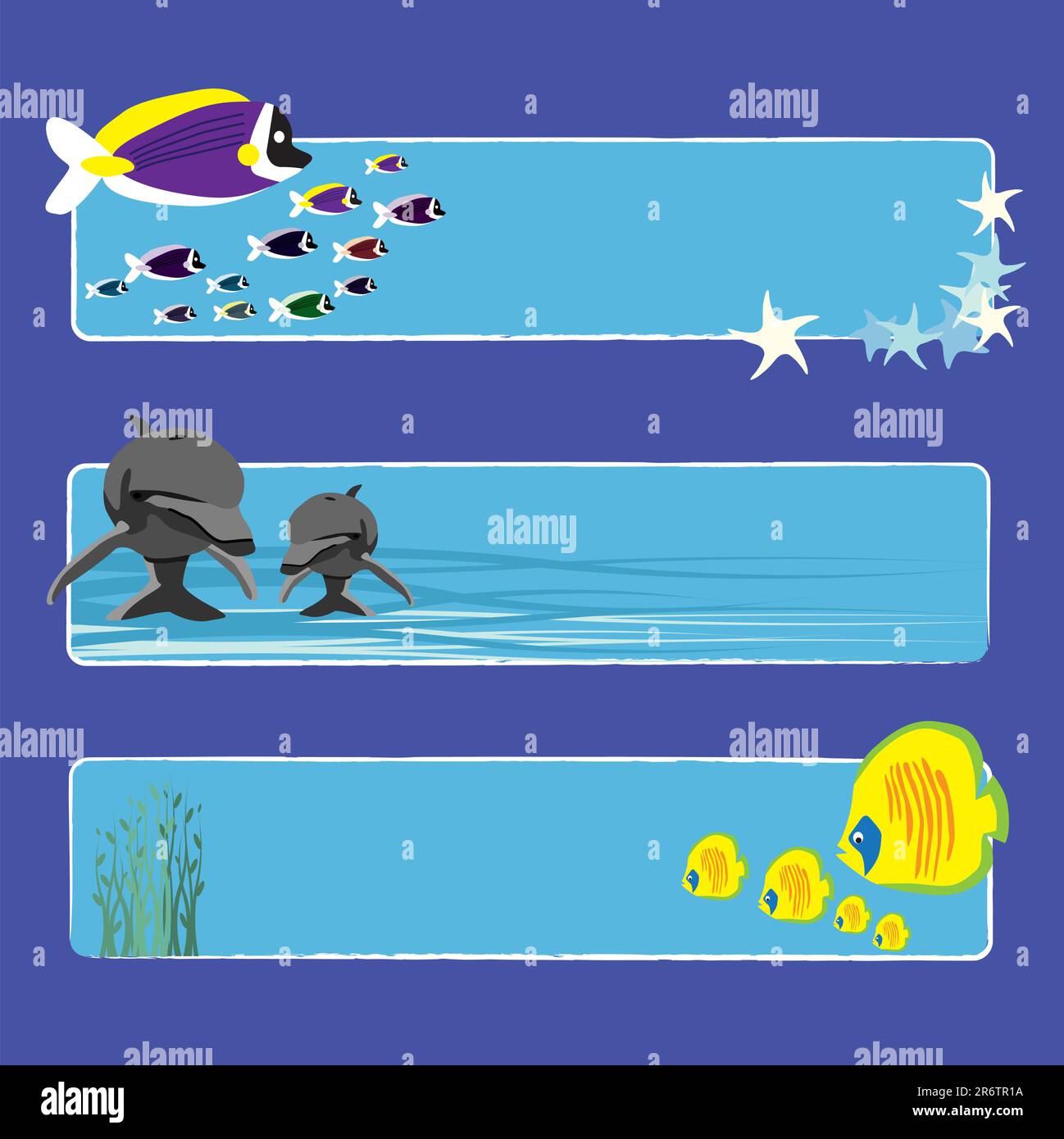 three tropical fish banners no text indicate sea world creatures Stock ...