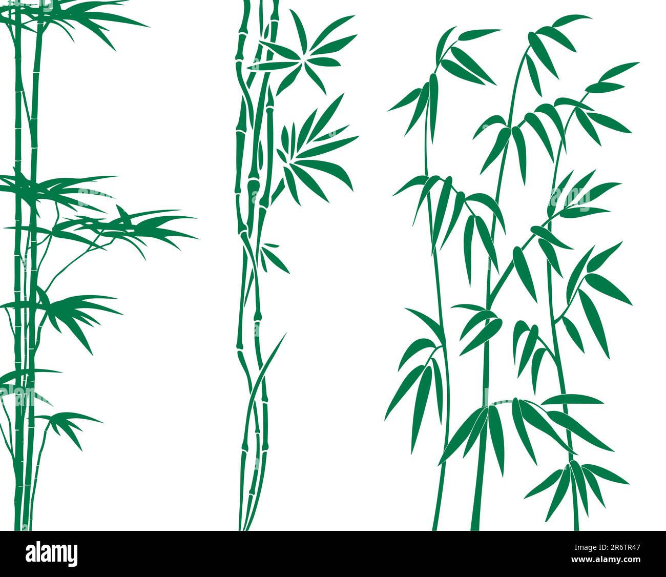 vector illustration of bamboo Stock Vector Image & Art - Alamy