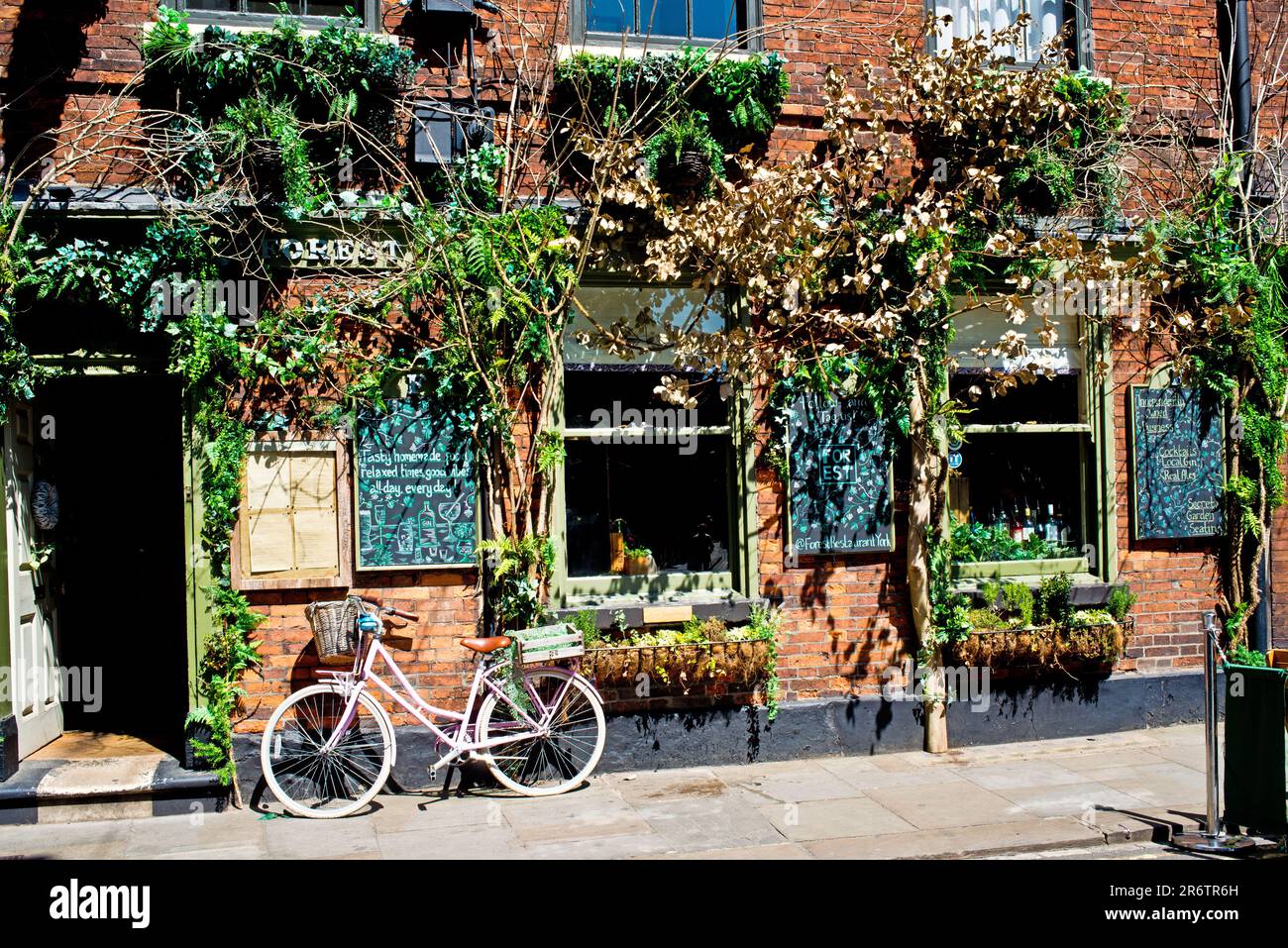 Forest Bar and Restaurant, Low Petergate, York, Yorkshire, England ...