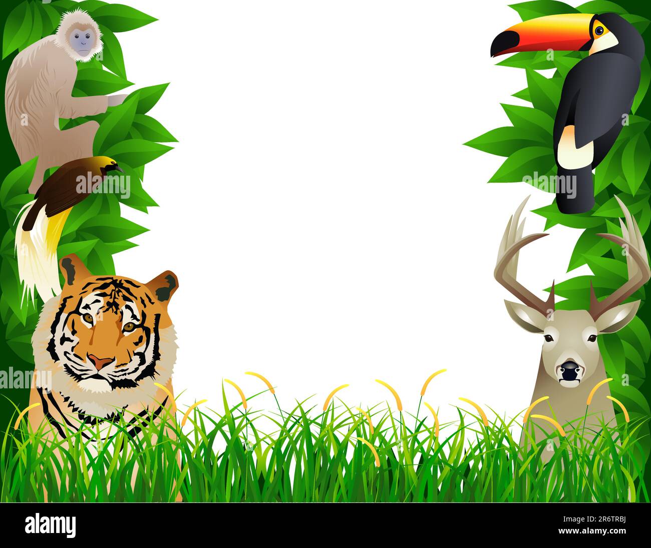 Cute wild animal frame Stock Vector Image & Art - Alamy