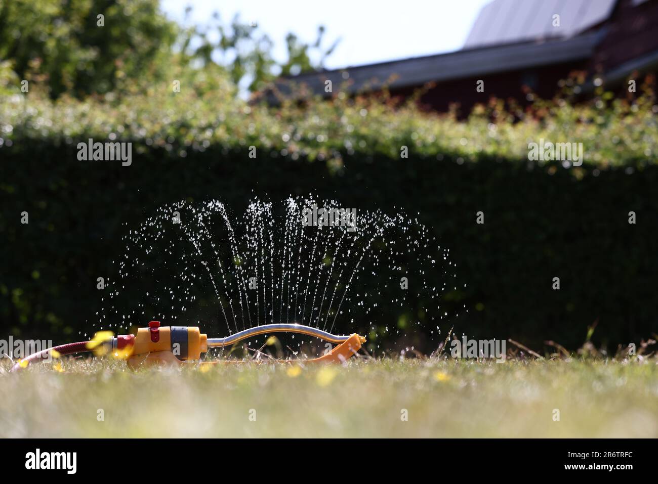 Seasonal weather, heat wave in Sweden continues, drought in a garden ...