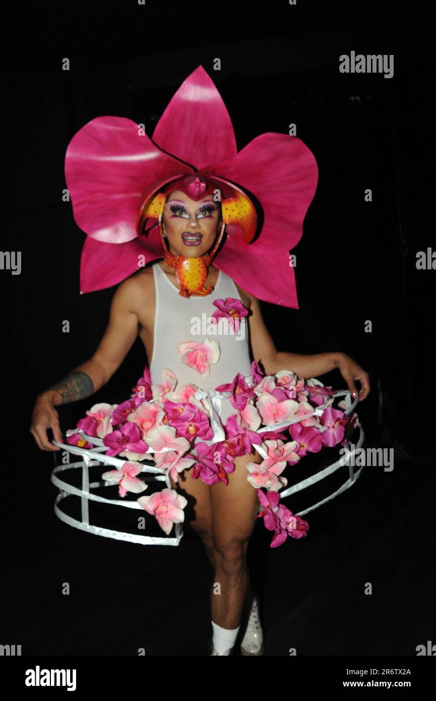 Amanda lepore hi-res stock photography and images - Alamy