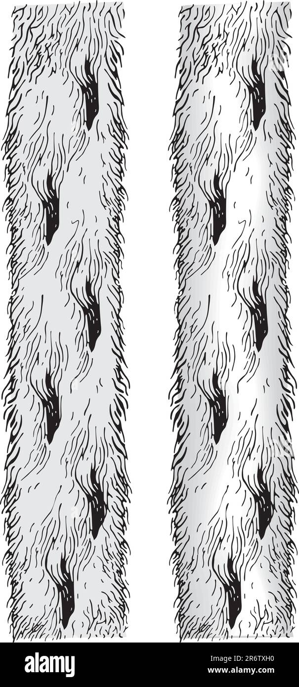 Fur for coat Stock Vector Images - Alamy