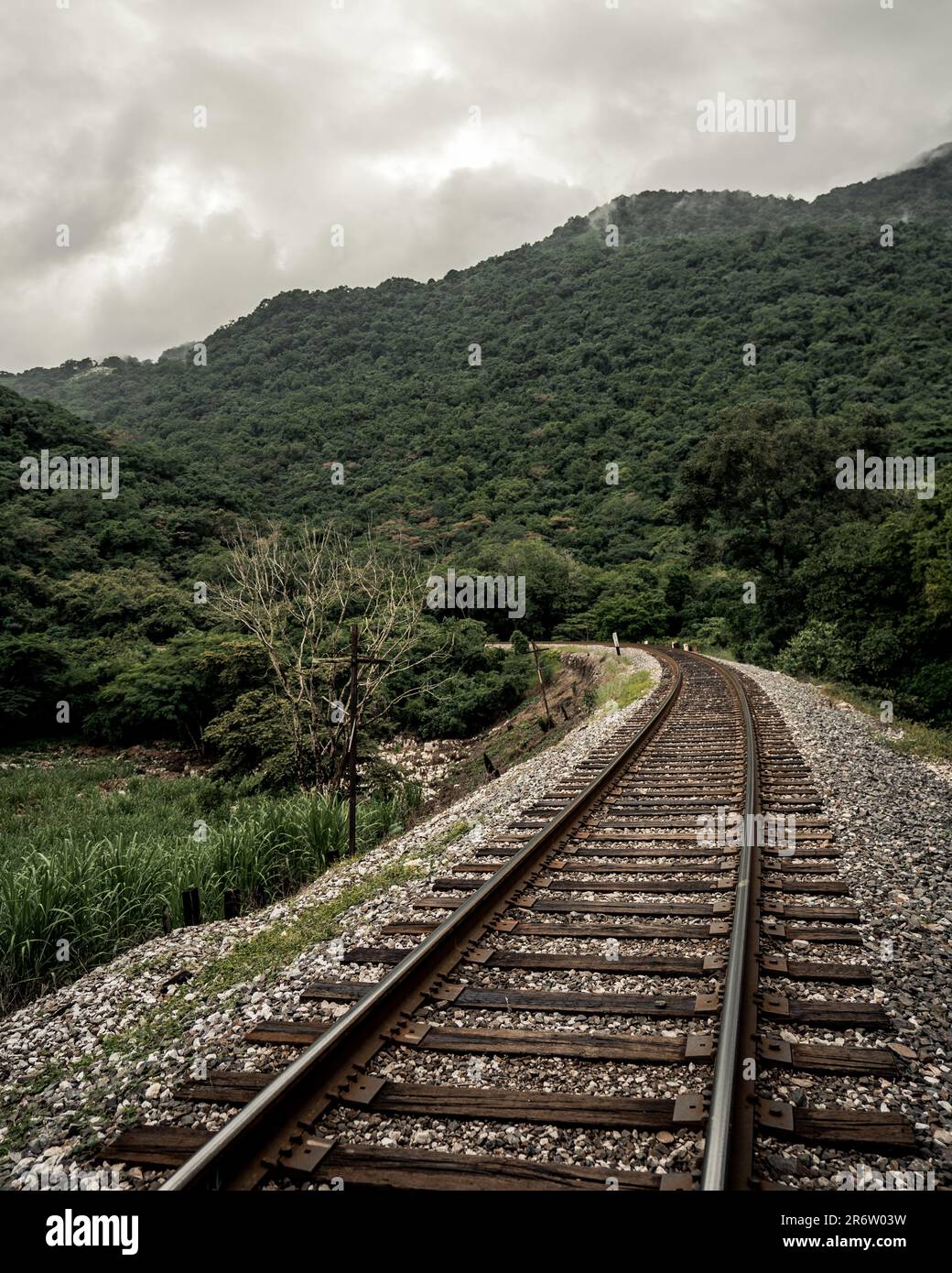A captivating landscape unravels as a railroad ventures deep into the ...