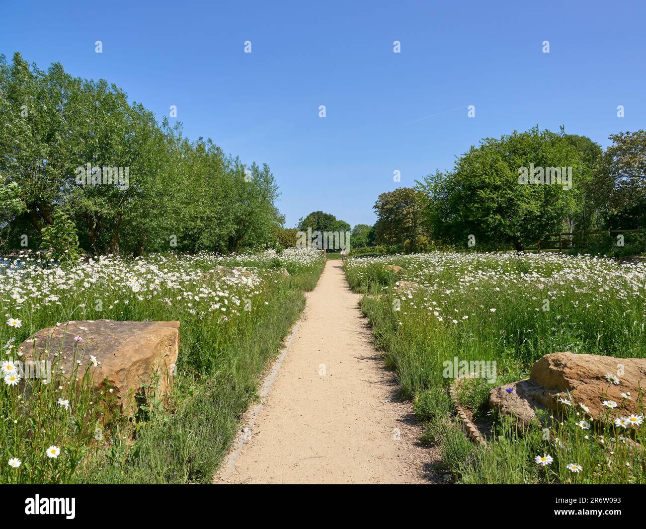 Wildflower path hi-res stock photography and images - Alamy