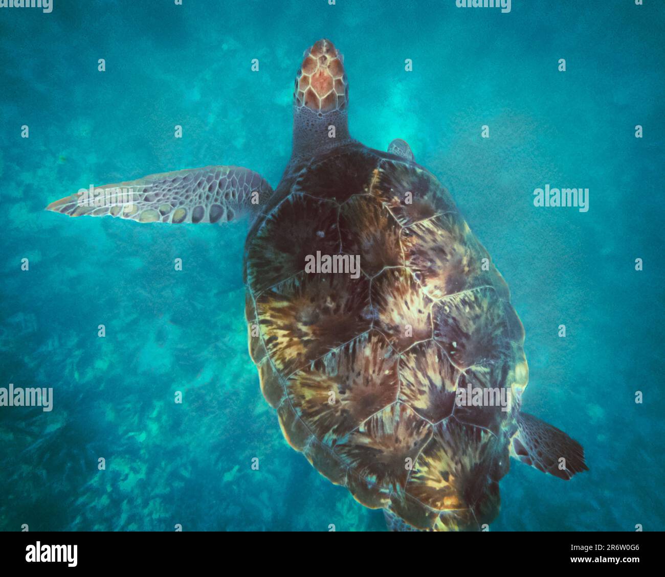 Mesmerizing movements hi-res stock photography and images - Alamy