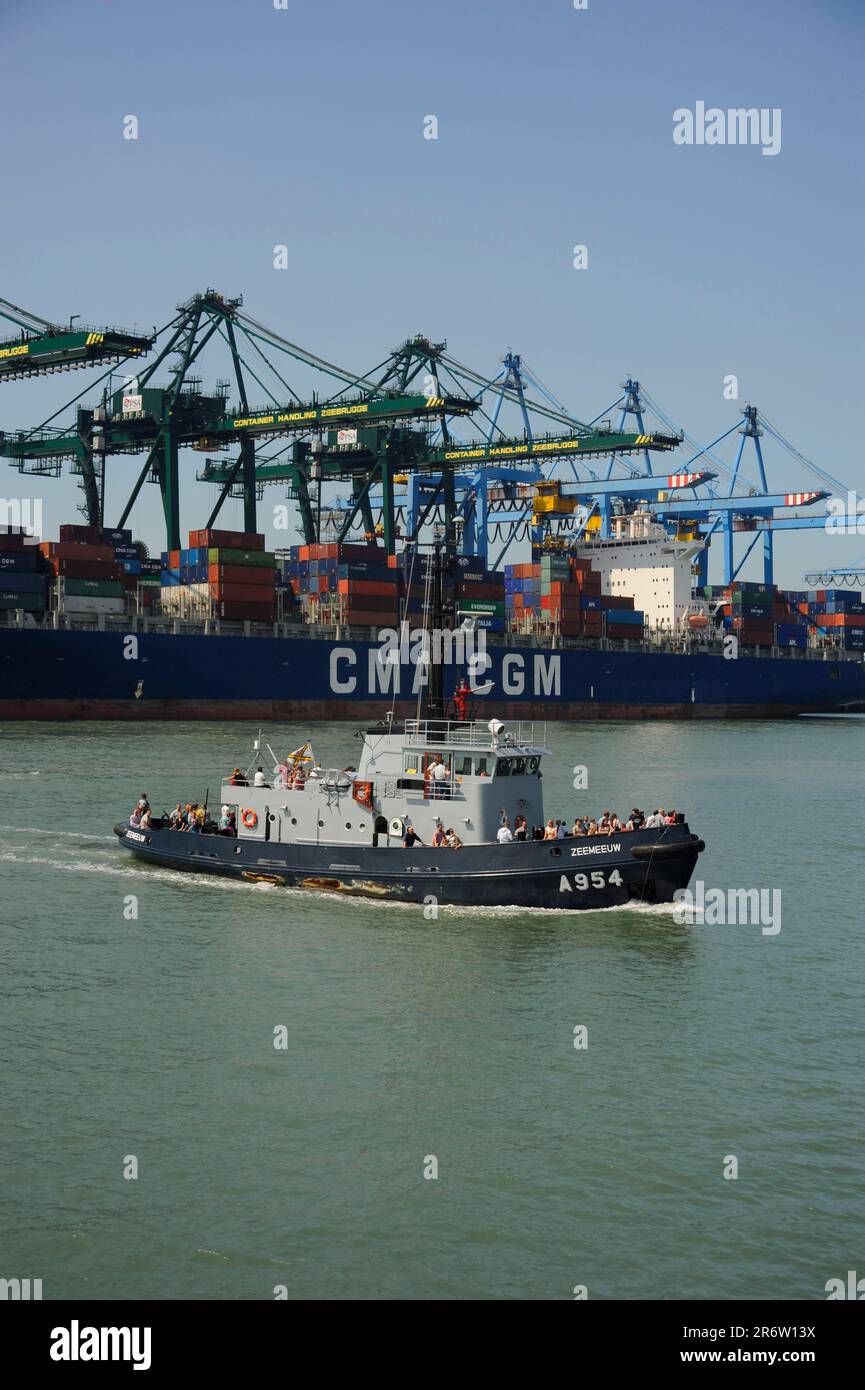 Zeebrugge ferry hi-res stock photography and images - Alamy