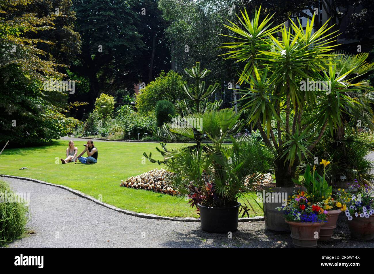 Belgian botanical gardens hi-res stock photography and images - Alamy