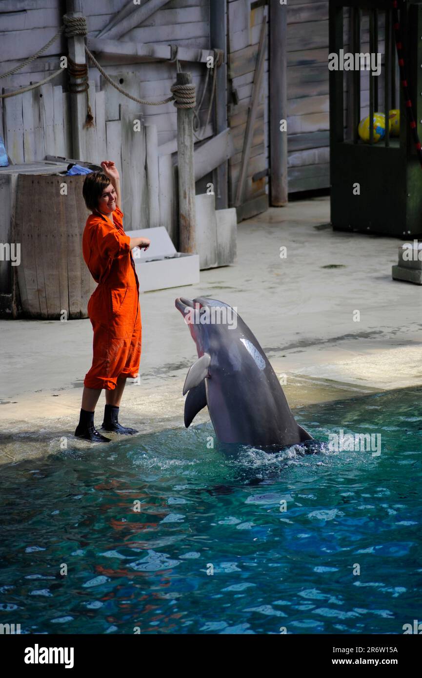 Dolphin Show, Flanders, Dolphinarium, Dolphin Show, Boudewijnpark, Bruges, West Flanders ...
