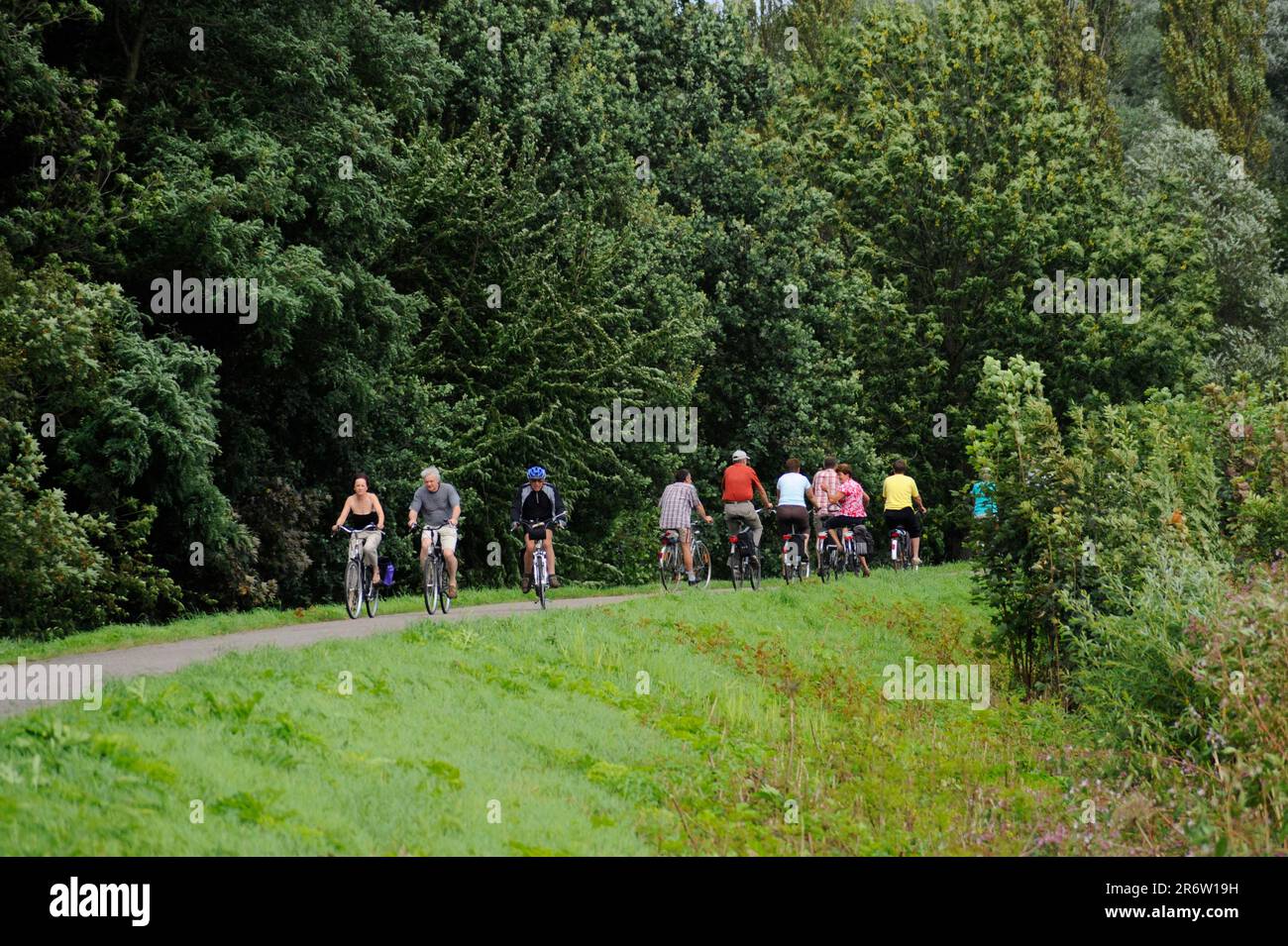 Cyclist on cycle path, Dilsen-Stokkem, Limburg, Flanders, Belgium Stock ...