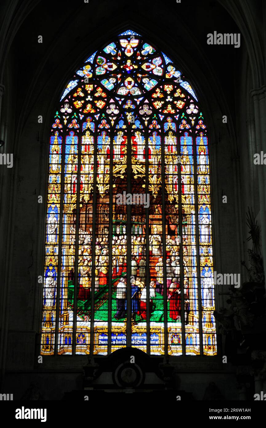 Stained glass windows, Saint-Rombouts Cathedral, Mechelen, Flanders ...