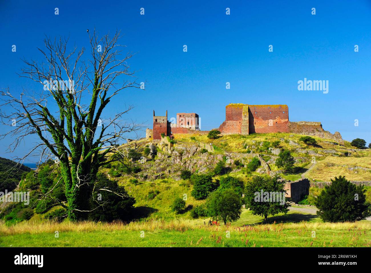 Hammershus Castle, Bornholm, Denmark Stock Photo - Alamy